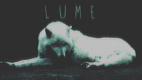 Lume | Sparkling Creek Valley Wiki | Fandom