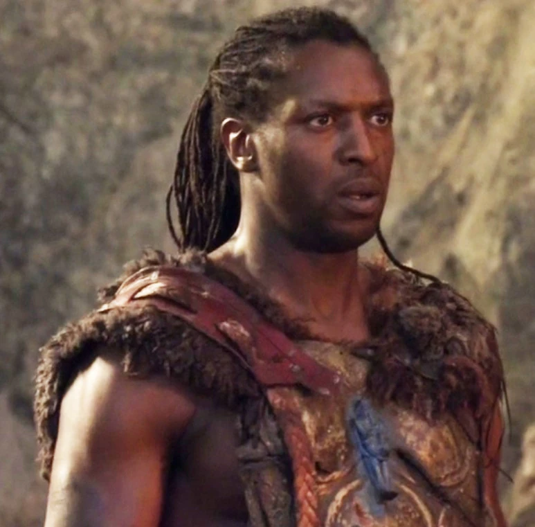 Litaviccus | Spartacus Wiki | Fandom