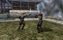 Blades (Oblivion) | SpartanMazdapedia Wiki | Fandom