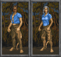 Races (Daggerfall) | SpartanMazdapedia Wiki | Fandom