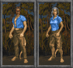 Khajiit (Daggerfall) | SpartanMazdapedia Wiki | Fandom