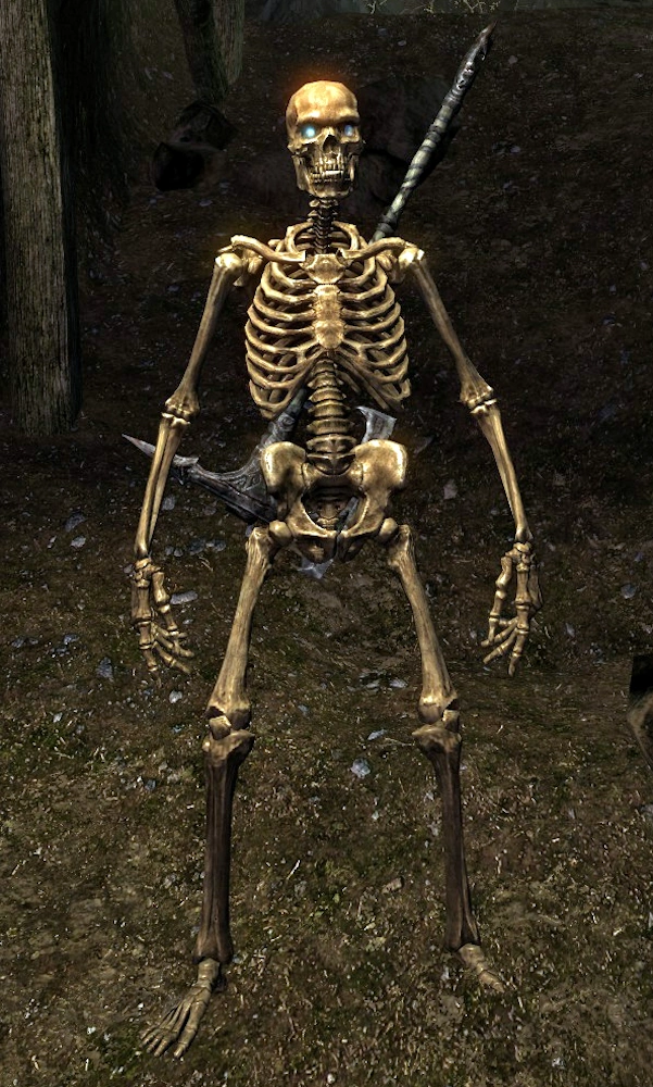 Skeleton (Skyrim) | SpartanMazdapedia Wiki | Fandom