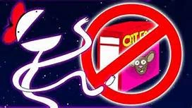 Why Isn't There Mouse-Flavoured Cat Food? Dolan Life Mysteries | Super ...