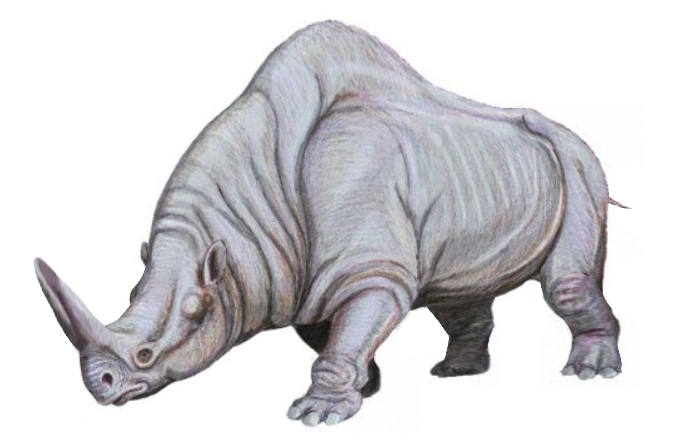 Brontotheriidae (Liera) | Speculative Evolution Wiki | Fandom