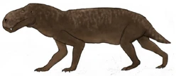 Great Nkishi (Liera) | Speculative Evolution Wiki | Fandom