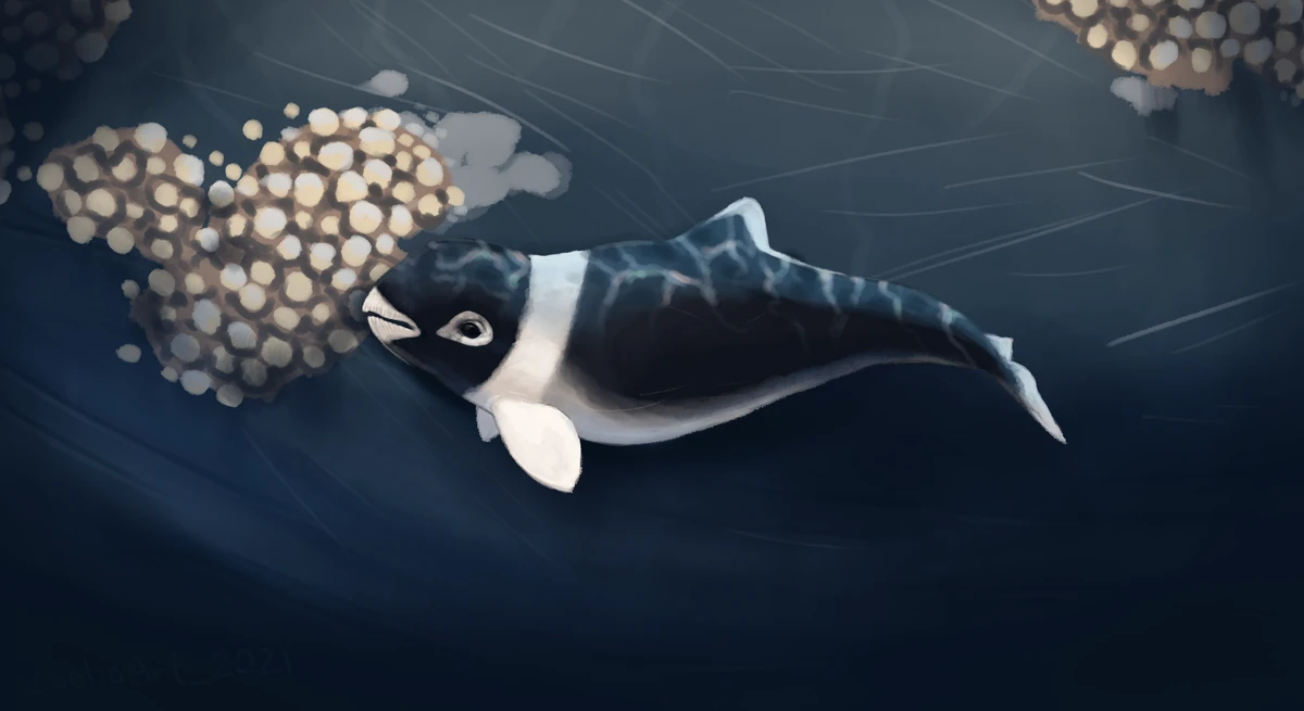 River porpoise (Liera) | Speculative Evolution Wiki | Fandom