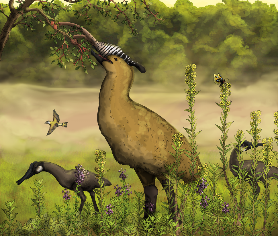 Elefinches | Speculative Evolution Wiki | Fandom