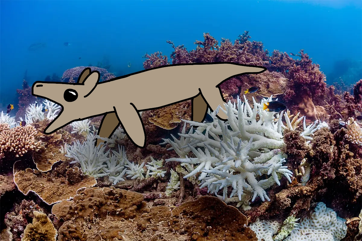 Beartle | Speculative Evolution Wiki | Fandom