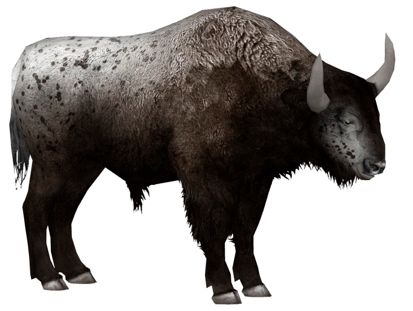 Alaskan forest bison (Ultra-Pleistocene) | Speculative Evolution Wiki ...