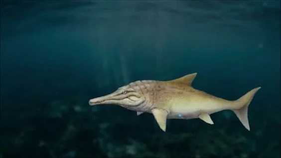 Ichthyosuchus | Speculative Evolution Wiki | Fandom