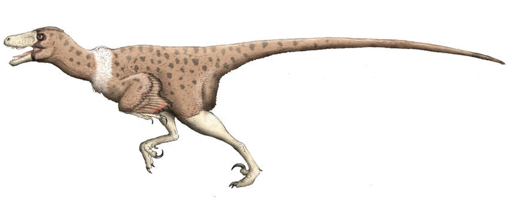 Pyroraptor lierensis (Liera) | Speculative Evolution Wiki | Fandom