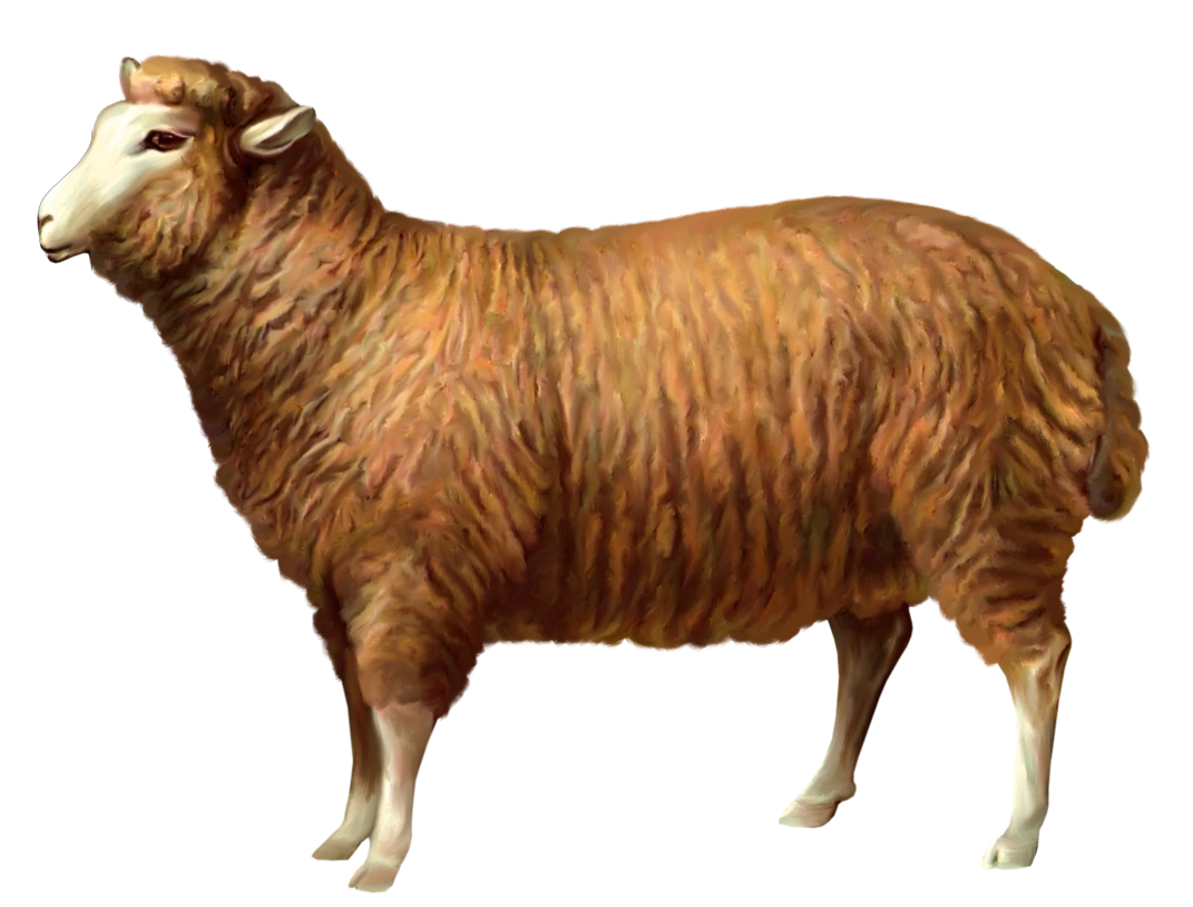 Bovidae (Liera) | Speculative Evolution Wiki | Fandom