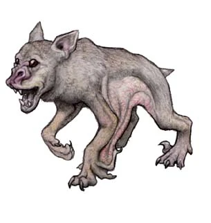 Wolf Bat | Speculative Evolution Wiki | Fandom