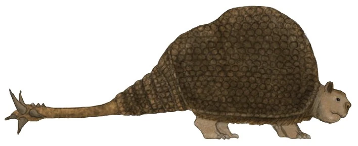 Cingulata (Liera) | Speculative Evolution Wiki | Fandom