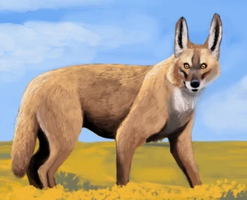 Obsidian dog (Planet X933) | Speculative Evolution Wiki | Fandom