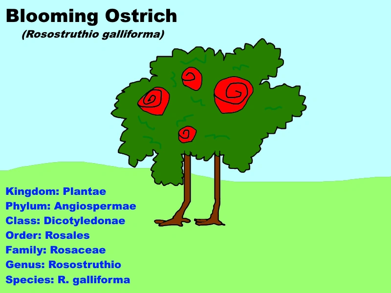 Blooming Ostrich | Speculative Evolution Wiki | Fandom