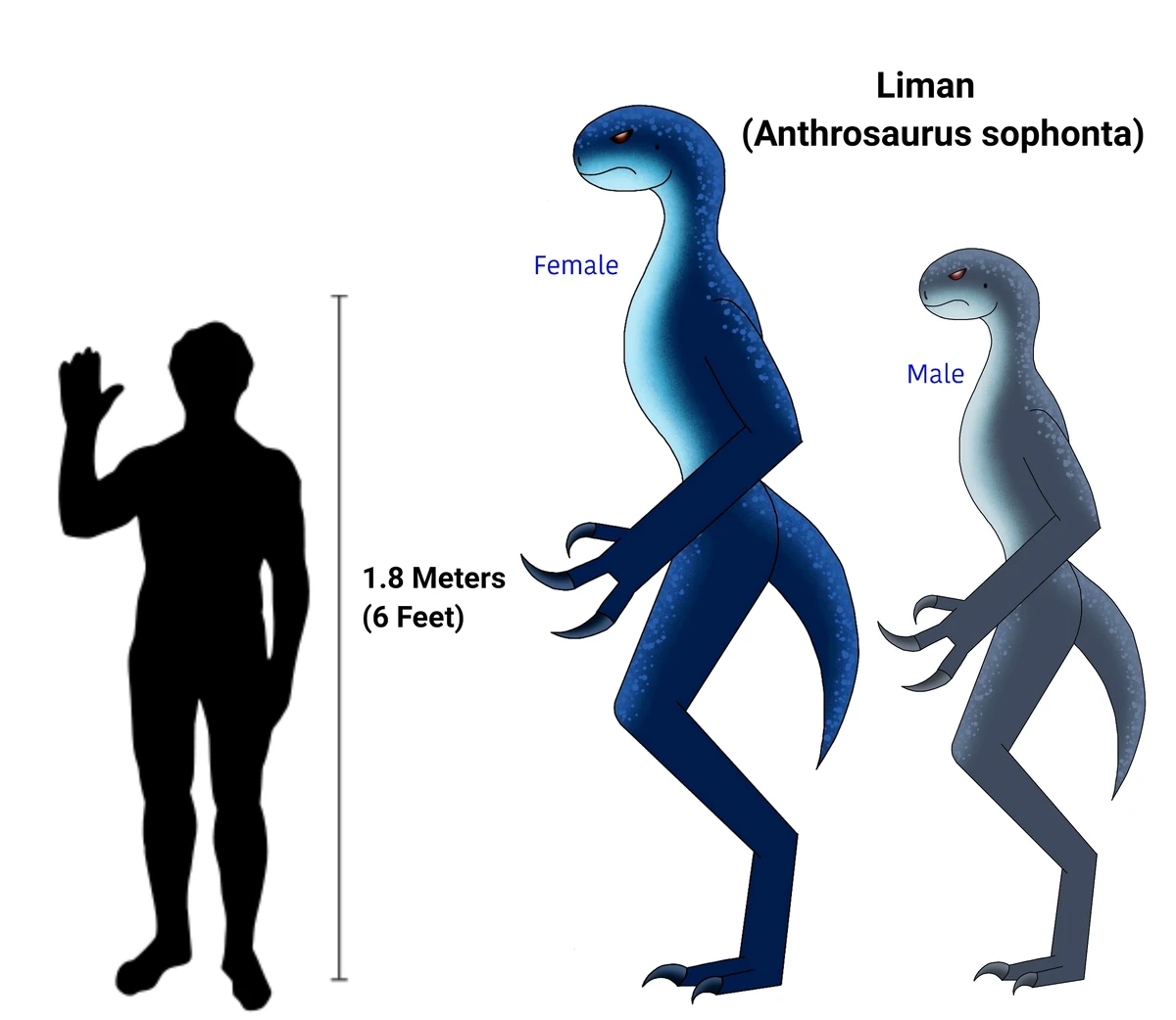 Liman (Liera) | Speculative Evolution Wiki | Fandom