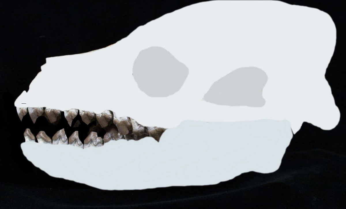 Cherraptor | Speculative Evolution Wiki | Fandom