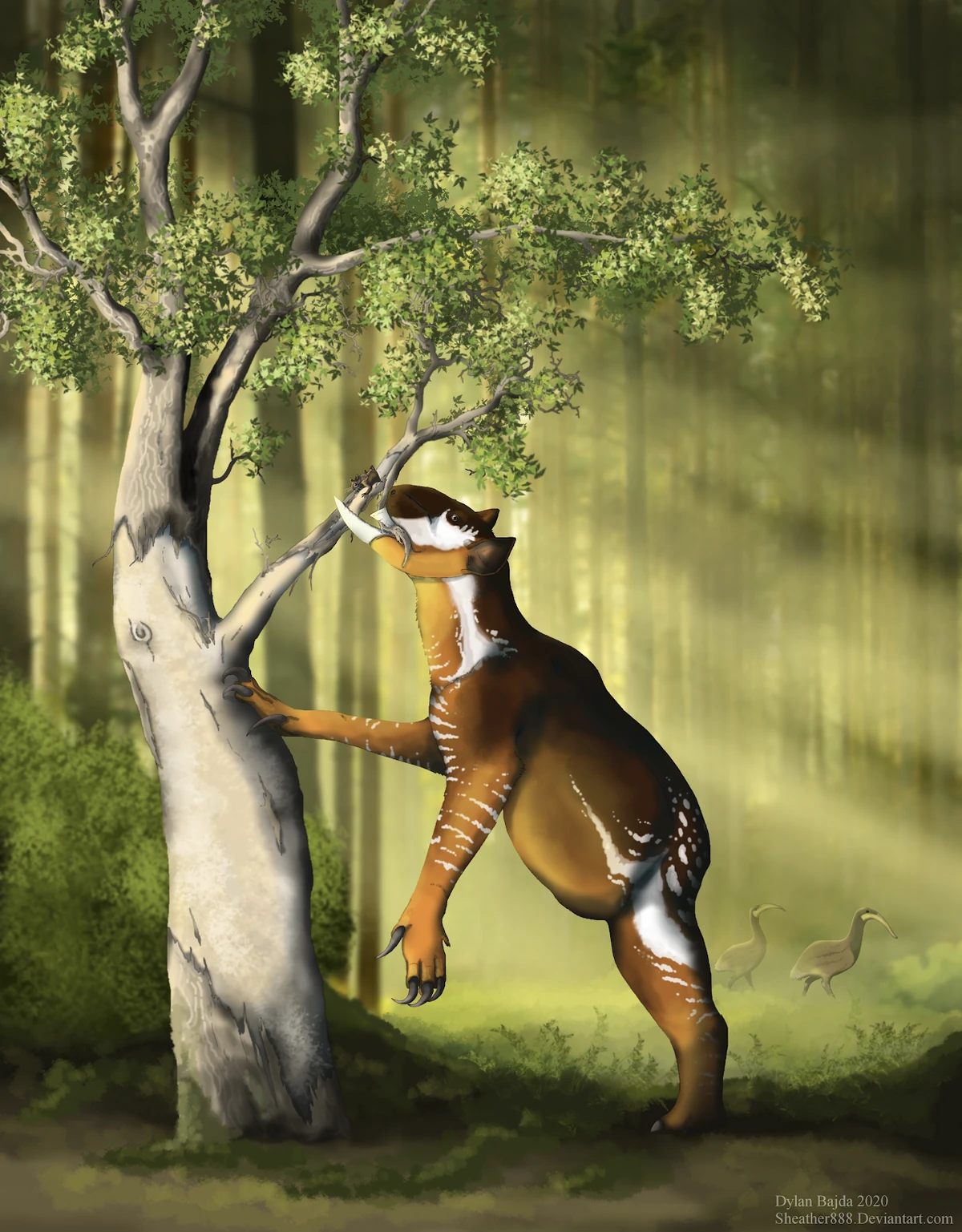 Treeskinner | Speculative Evolution Wiki | Fandom