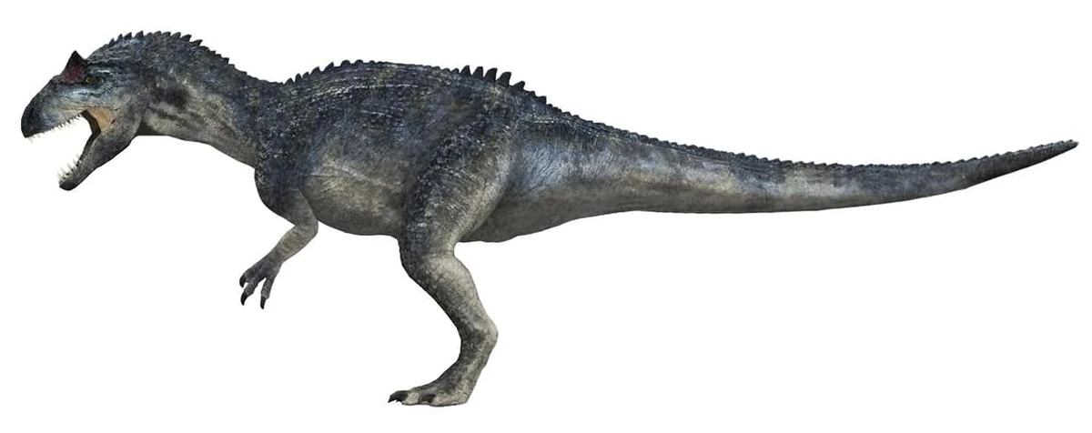 Allosauridae (Terra) | Speculative Evolution Wiki | Fandom