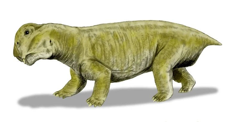 Dicynodont (Butterfly Effect) | Speculative Evolution Wiki | Fandom