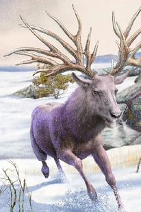 Anteka (Liera) | Speculative Evolution Wiki | Fandom