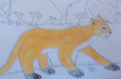 Leoncillo | Speculative Evolution Wiki | Fandom