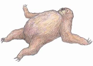 Super sloth (fiction) | Speculative Evolution Wiki | Fandom
