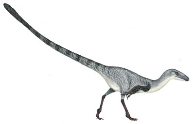 Peilong (Liera) | Speculative Evolution Wiki | Fandom