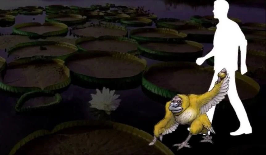 Monkey bird | Speculative Evolution Wiki | Fandom