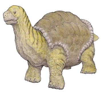 Tora Toraton | Speculative Evolution Wiki | Fandom