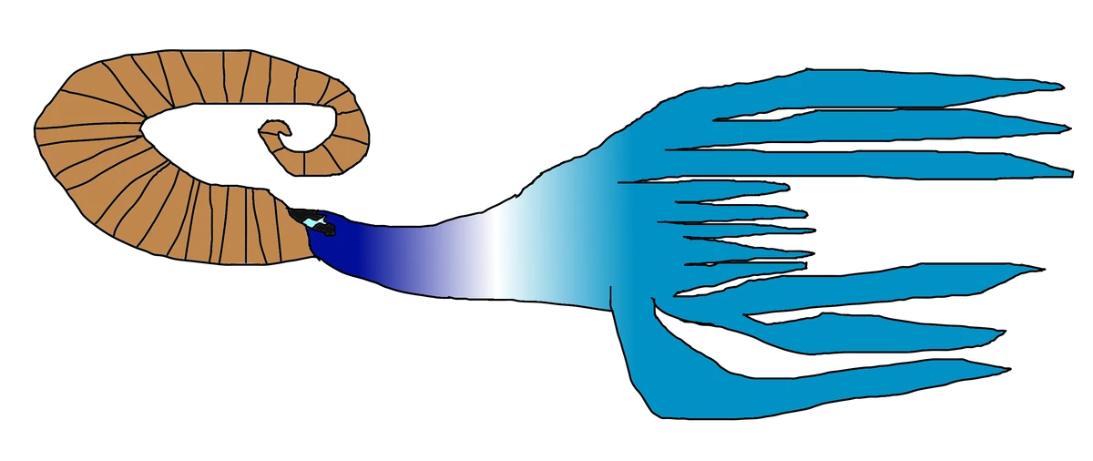 Aurorus Ammonite | Speculative Evolution Wiki | Fandom