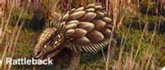 Rattleback | Speculative Evolution Wiki | Fandom