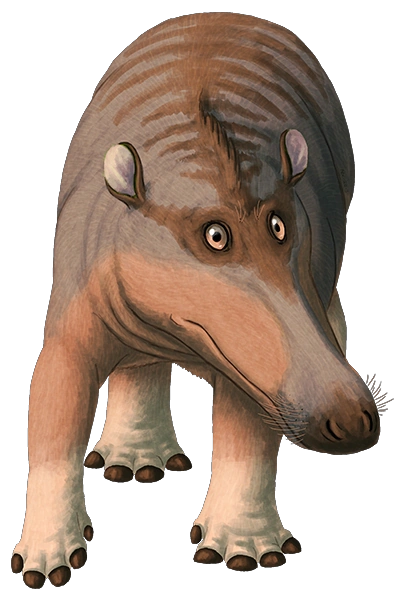 Neopangean wolf whale (Liera) | Speculative Evolution Wiki | Fandom