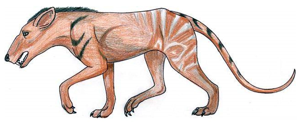 Agran mountain beast (Liera) | Speculative Evolution Wiki | Fandom