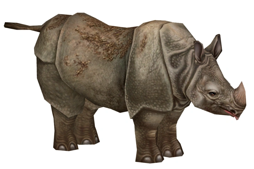 Rhino Evolution
