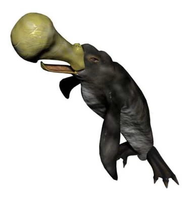 Hammer beak | Speculative Evolution Wiki | Fandom