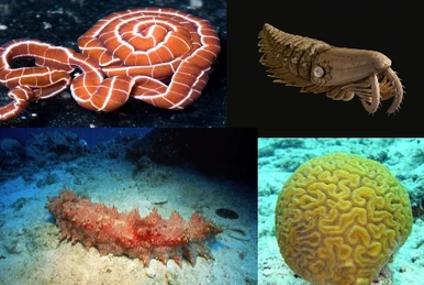 speculative evolution mars