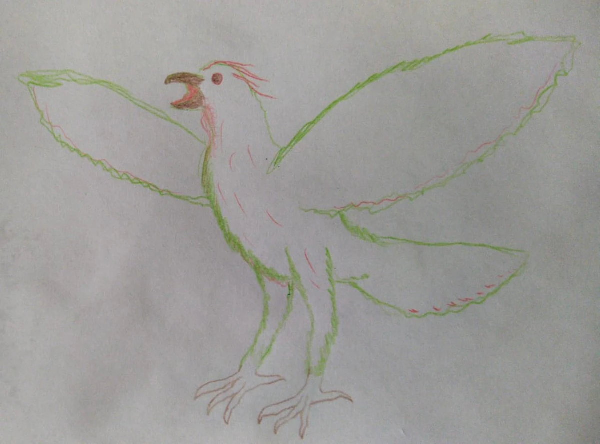 Eagle sparrow | Speculative Evolution Wiki | Fandom
