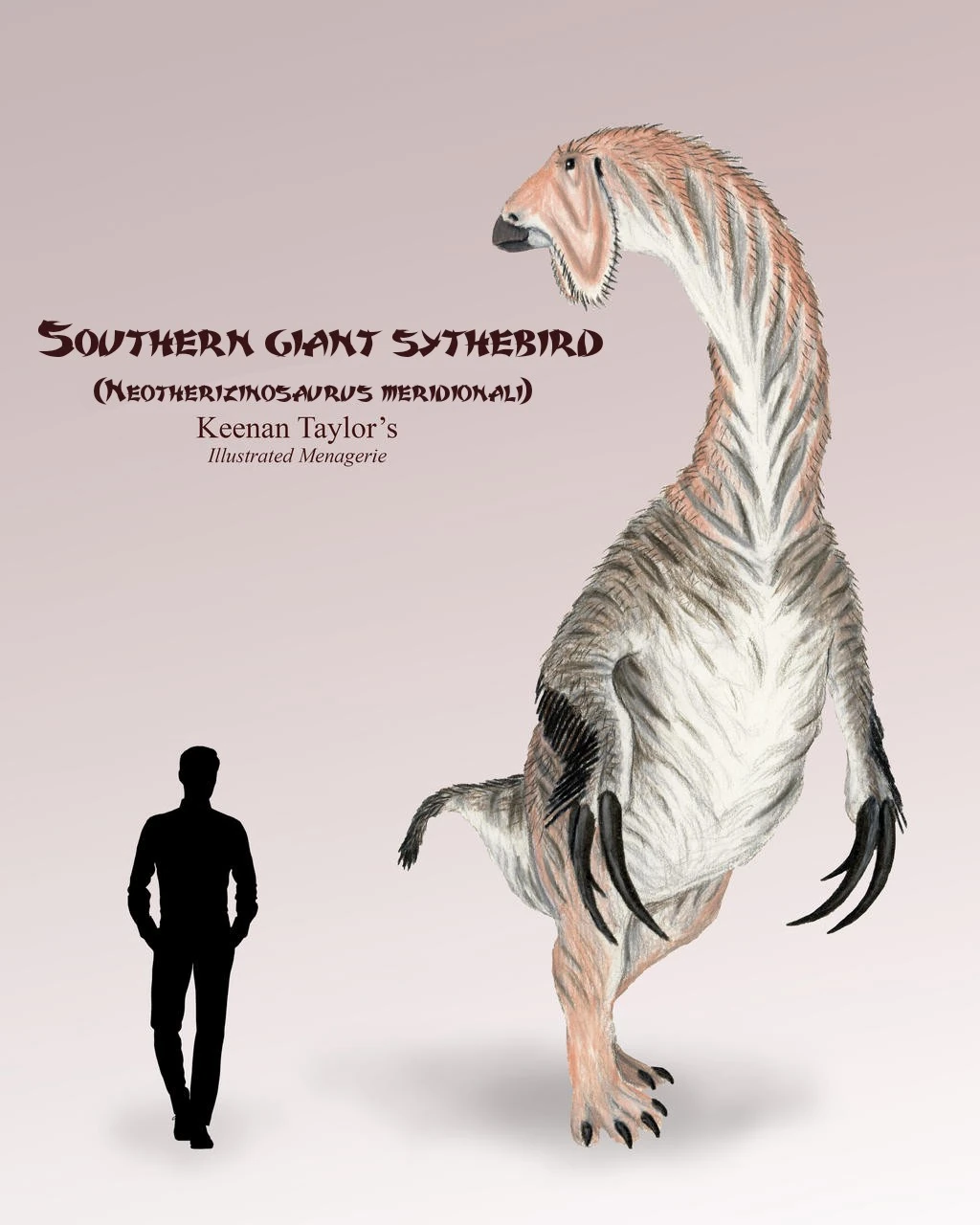 Southern giant sythebird (Liera) | Speculative Evolution Wiki | Fandom
