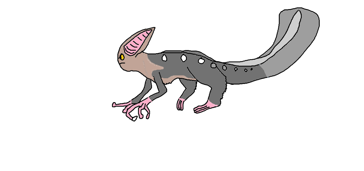 Tree creeper | Speculative Evolution Wiki | Fandom