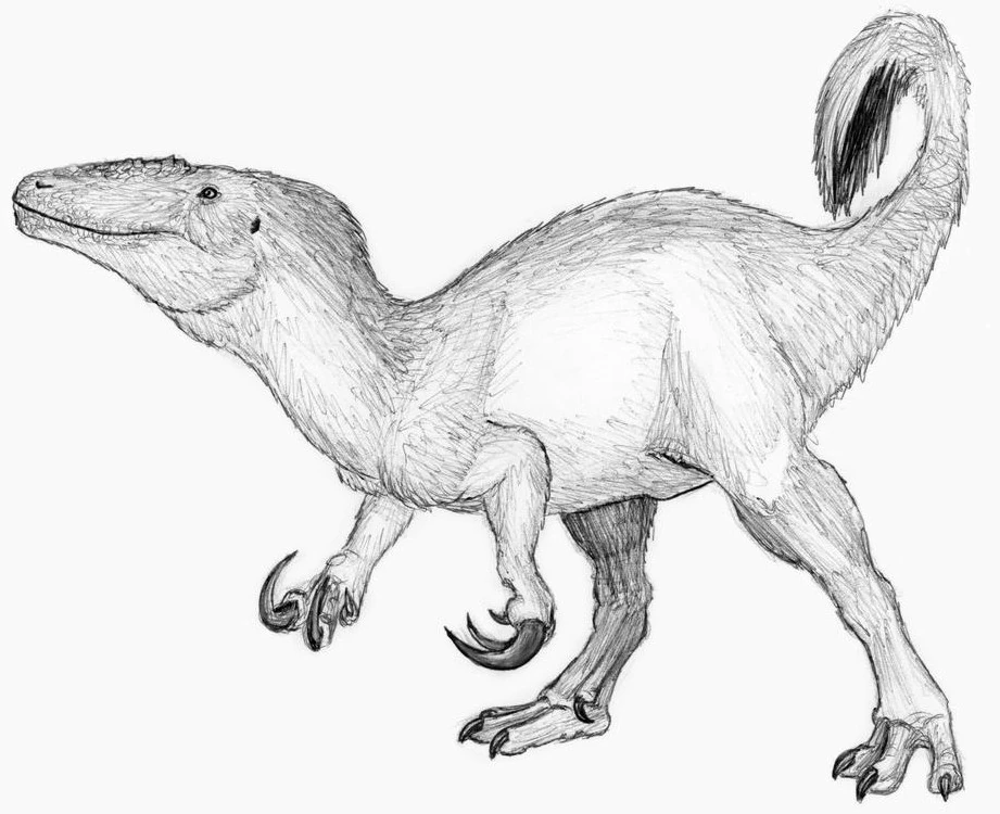 Megaraptora (Liera) | Speculative Evolution Wiki | Fandom