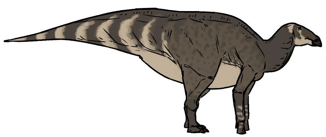 Flat-headed horsebeast (Liera) | Speculative Evolution Wiki | Fandom