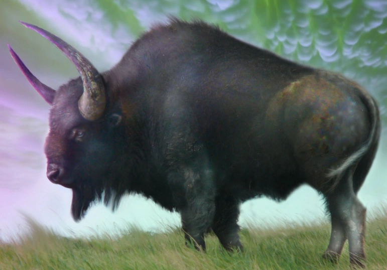 Interior American bison | Speculative Evolution Wiki | Fandom