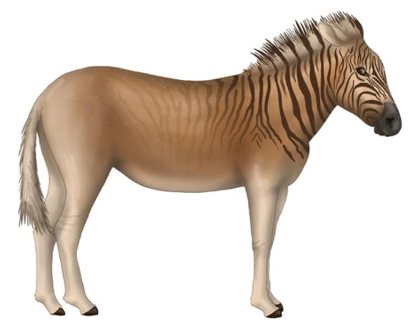 Equidae (Terra) | Speculative Evolution Wiki | Fandom