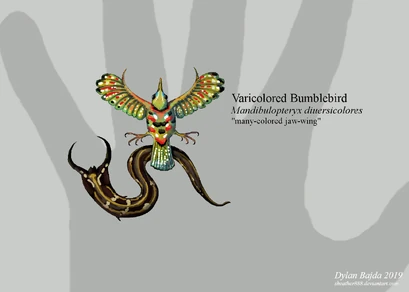 Metamorph birds | Speculative Evolution Wiki | Fandom