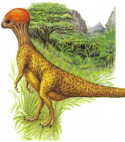 Numbskull | Speculative Evolution Wiki | Fandom