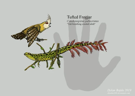 Metamorph birds | Speculative Evolution Wiki | Fandom