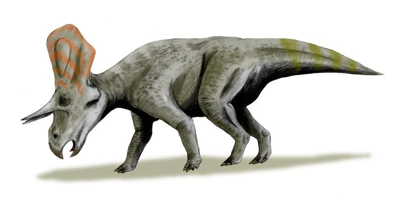 Californian forest ceratops (Ultra-Pleistocene) | Speculative Evolution ...