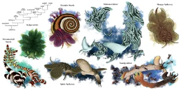 Snarks | Speculative Evolution Wiki | Fandom